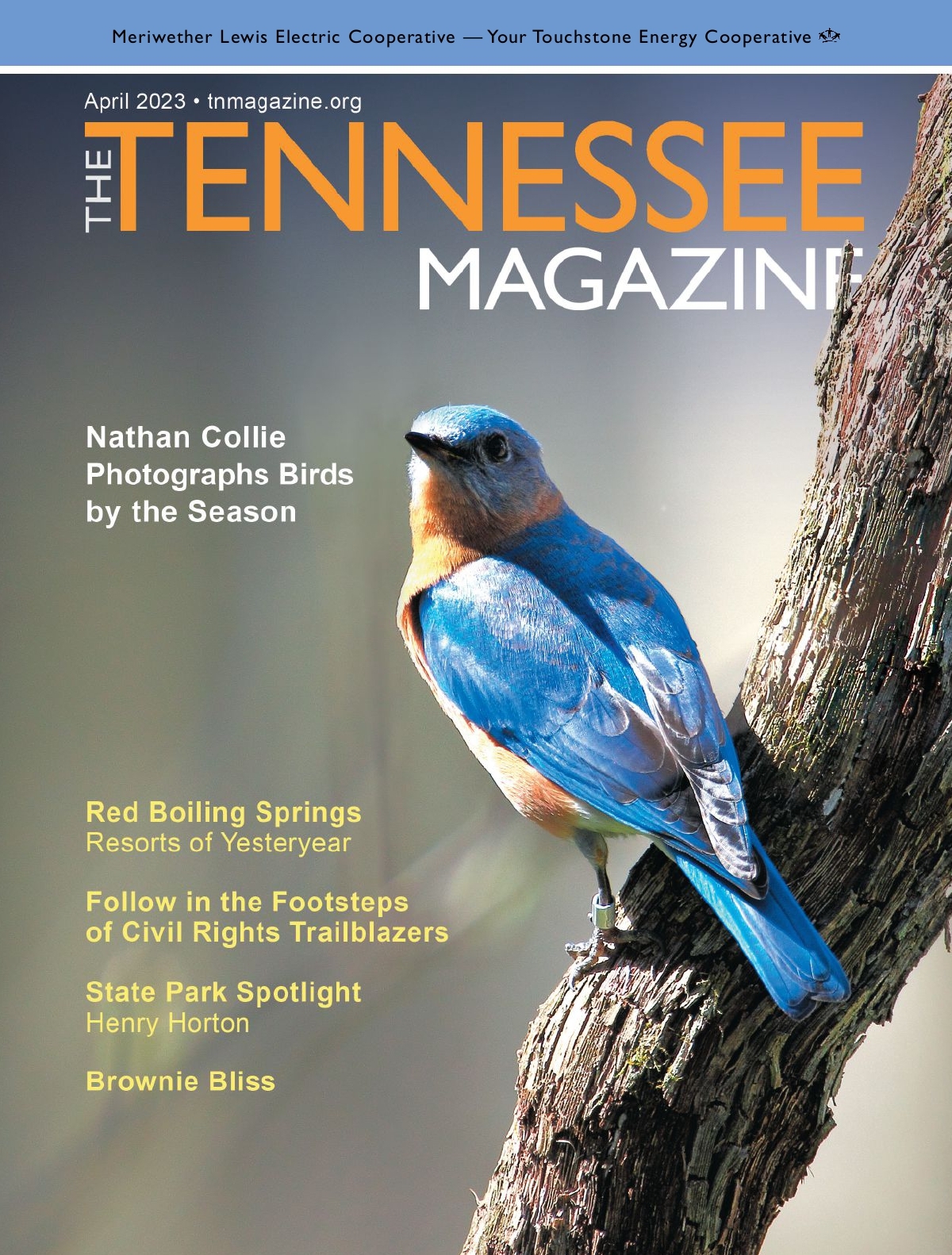 Meriwether Lewis Electric Cooperative